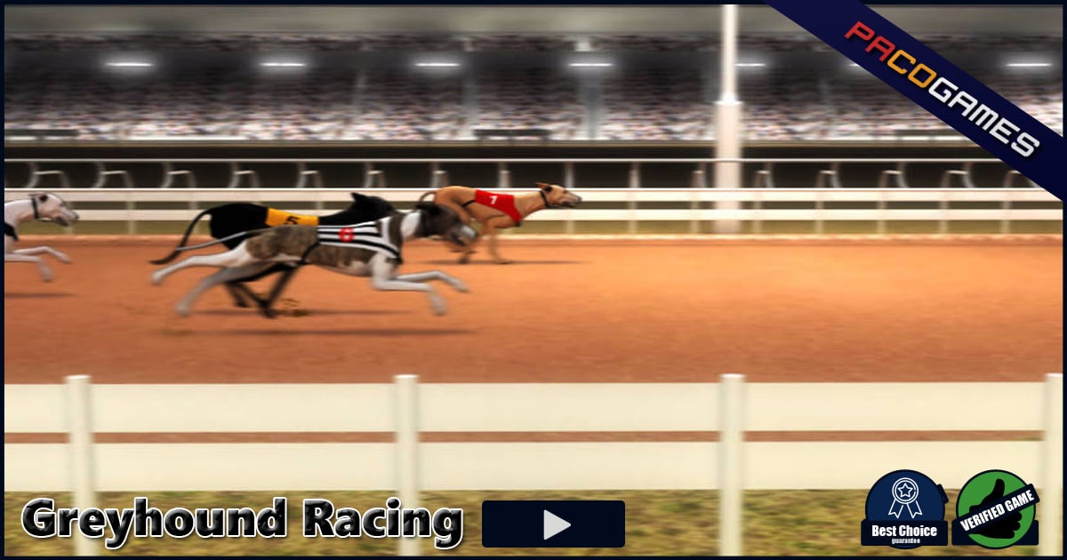 Greyhound Racing - Graj online za darmo na PacoGames.com!